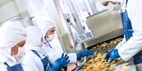 Grizzly Force Blog | Temp Labour for Food Production